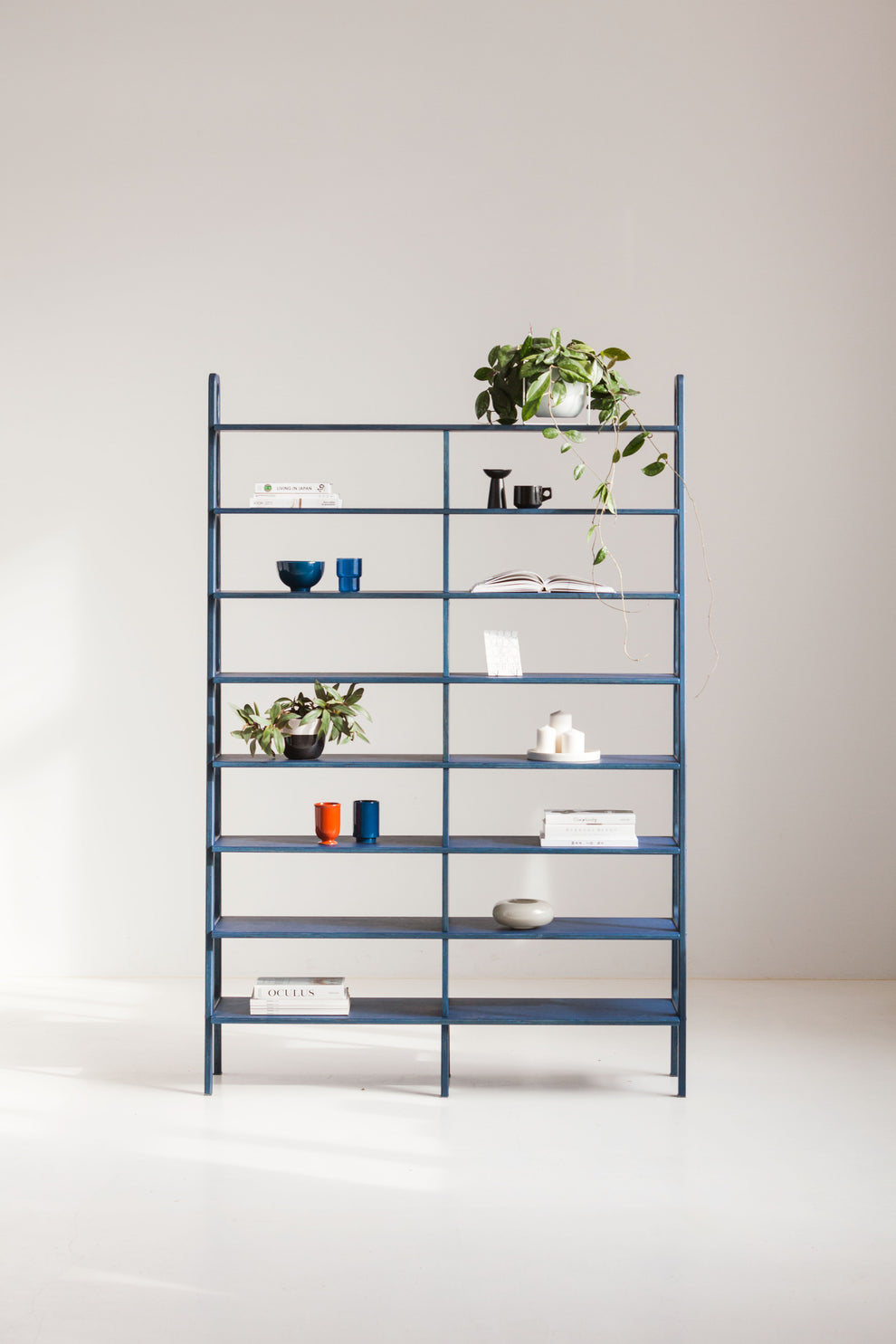 Maxi Plus Bookcase – awarded and specious design | Sleek & Modern Design