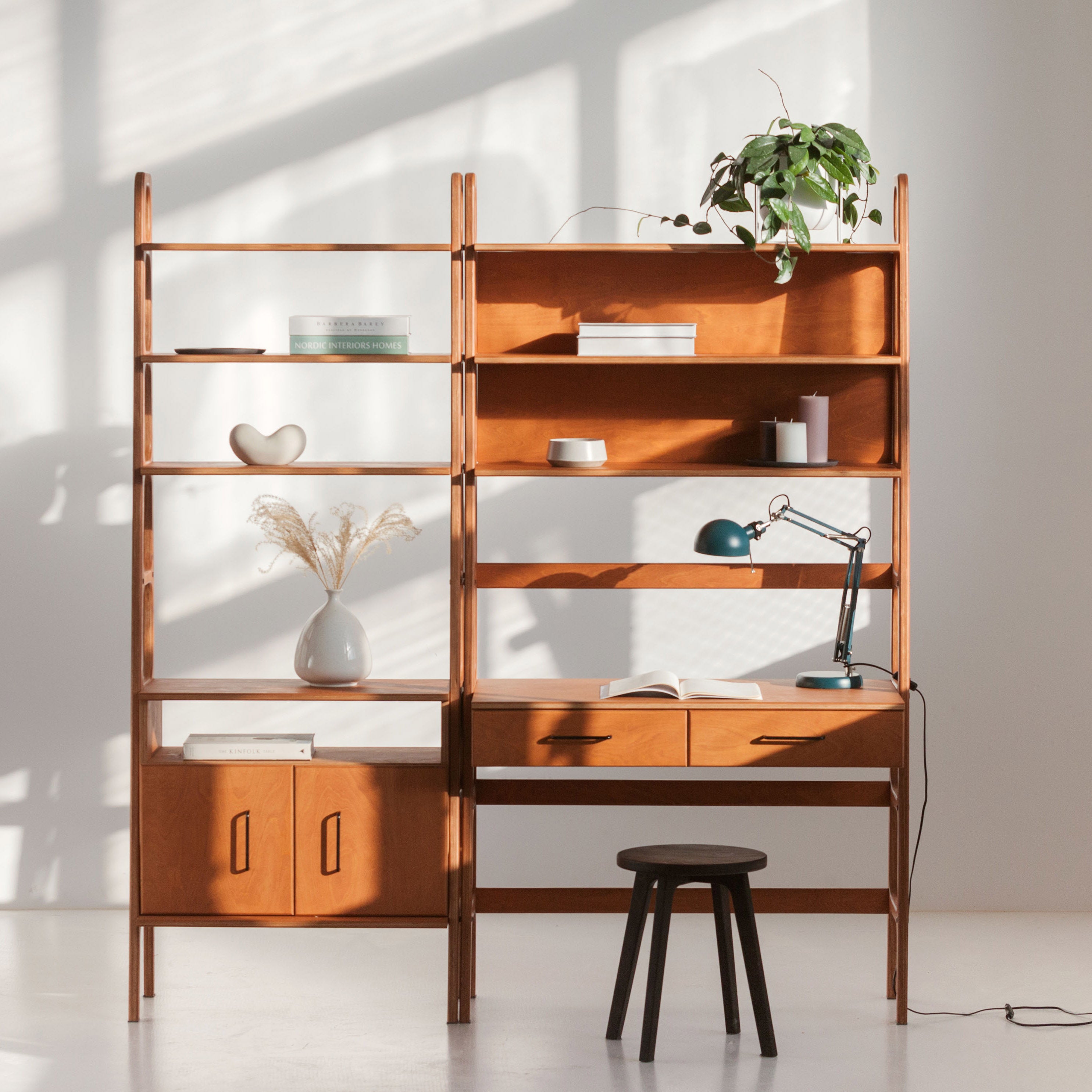 Wall Unit MCM: king of shelves and work space