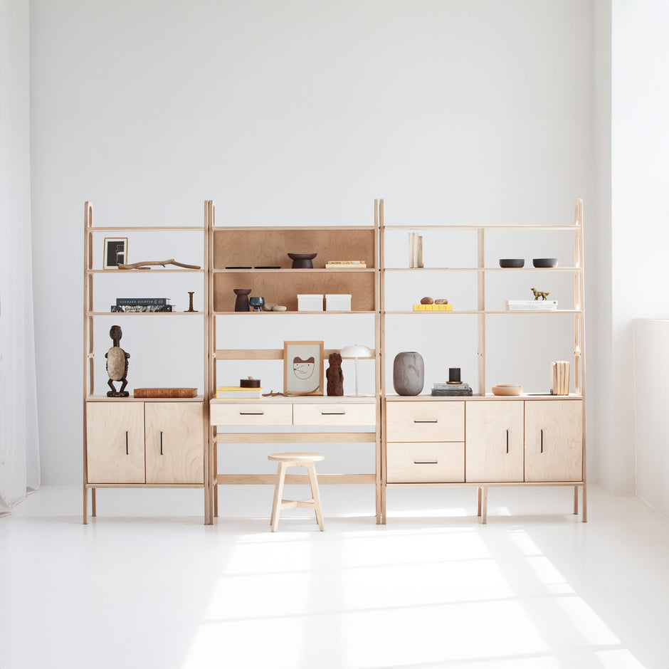 Enhance Your Space with Stylish Wall Units Ensembles - Plywood Project