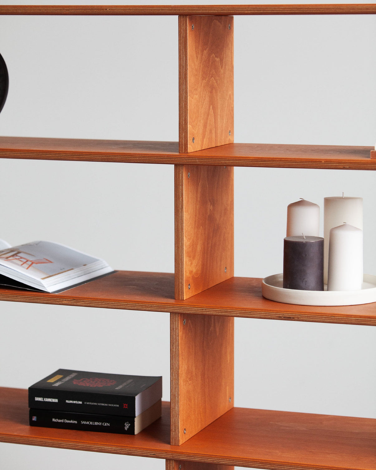 Maxi Bookcase: king of shelves, master of organizing your books.